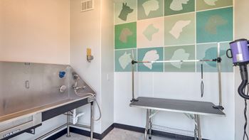 Allure at Edinburgh - apartments for rent in Village Farms, Chesapeake ...